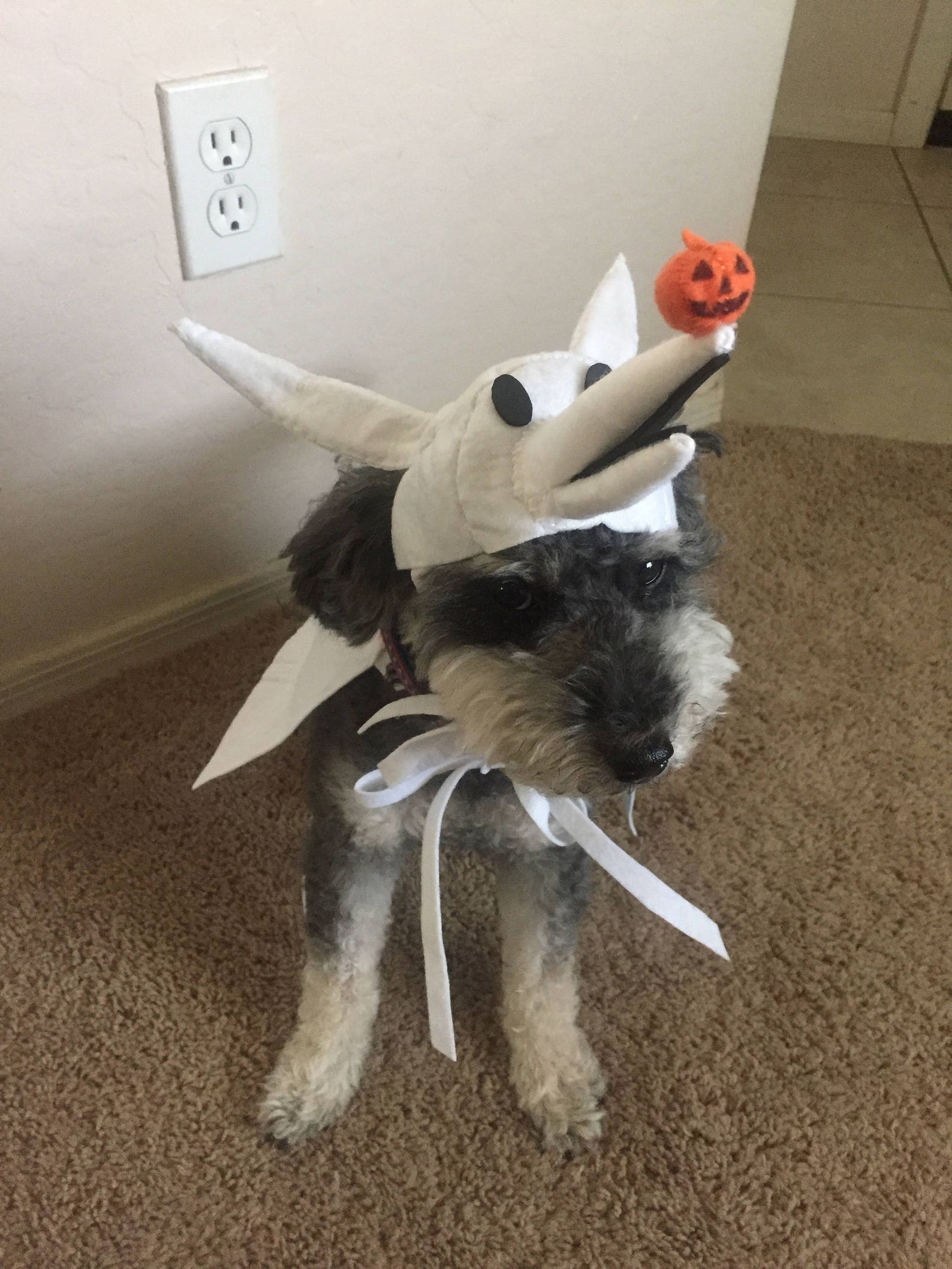 Nightmare Before Christmas ZERO Dog/cat/pet Costume Halloween - Etsy