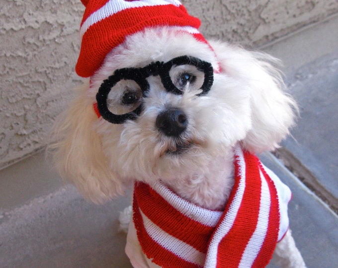 Dog Costume Where's Waldo WOOF Pet Halloween Hat, Scarf, Glasses XS-S ...