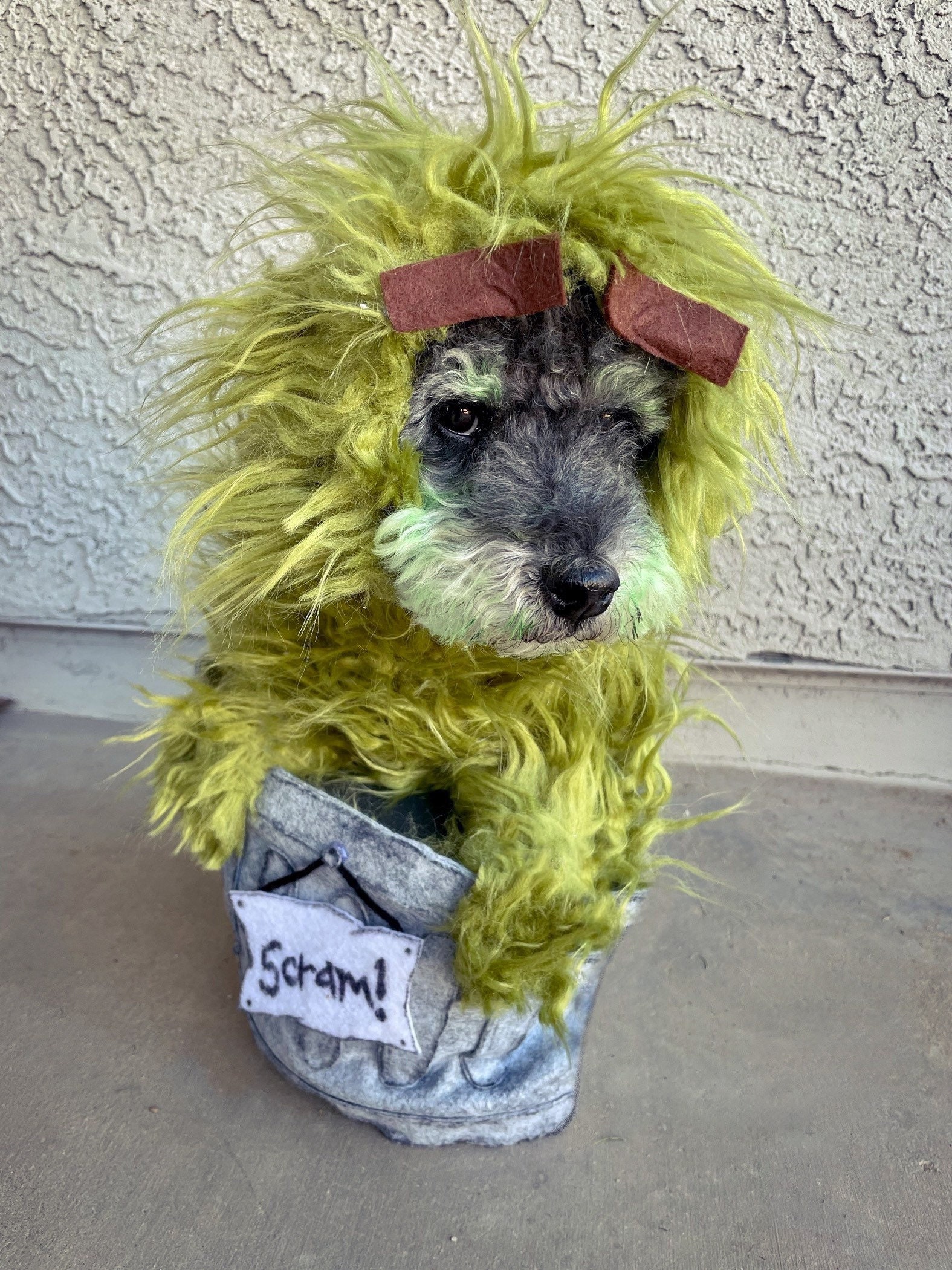 Oscar The Grouch Dog Costume