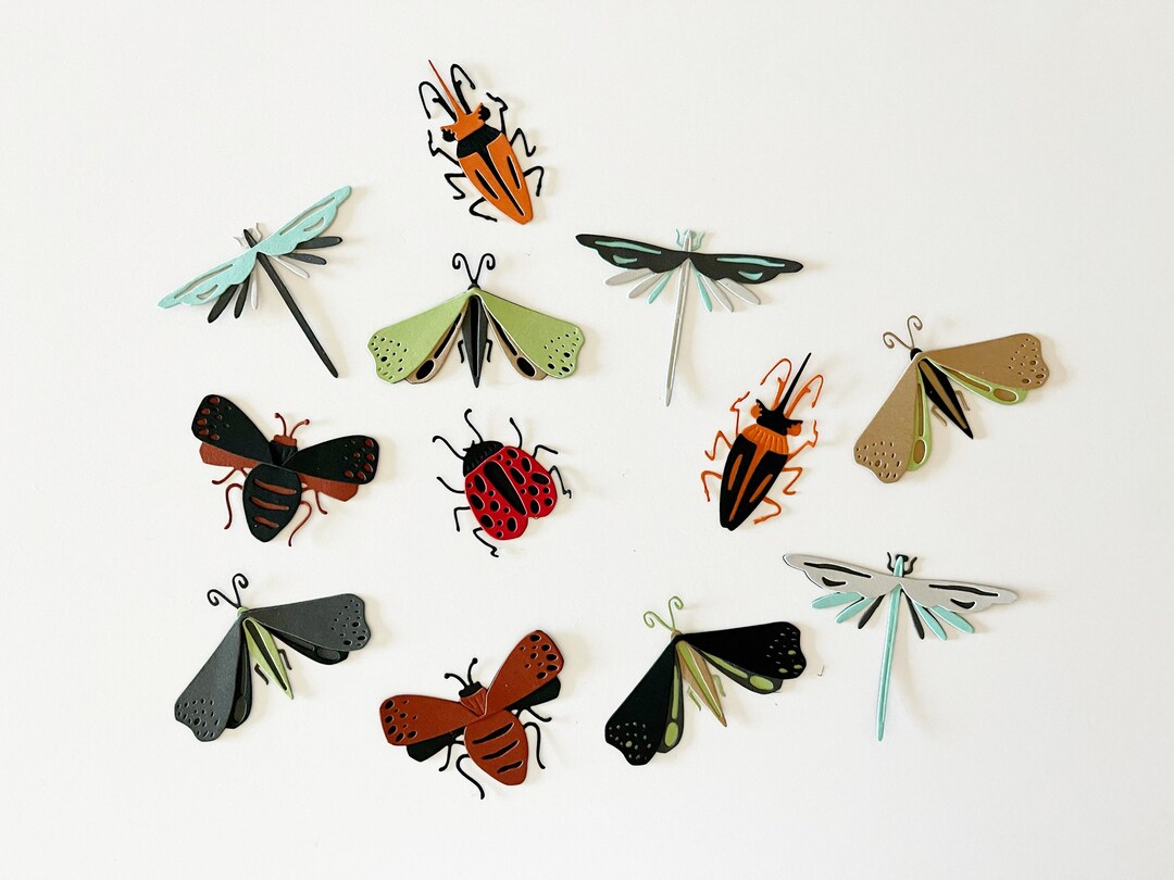 Insect Confetti, Bugs, Nature Party, Camping Theme Party, Layered Bugs ...