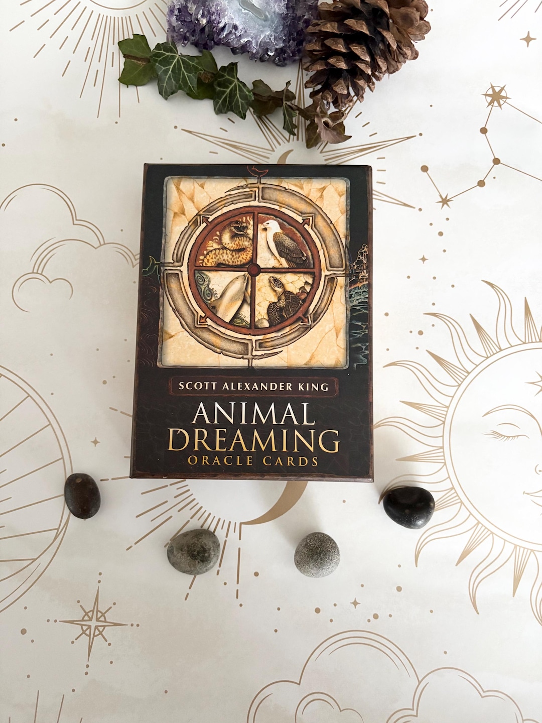 Animal Dreaming Oracle Deck by Scott Alexander King | Preloved (USED ...