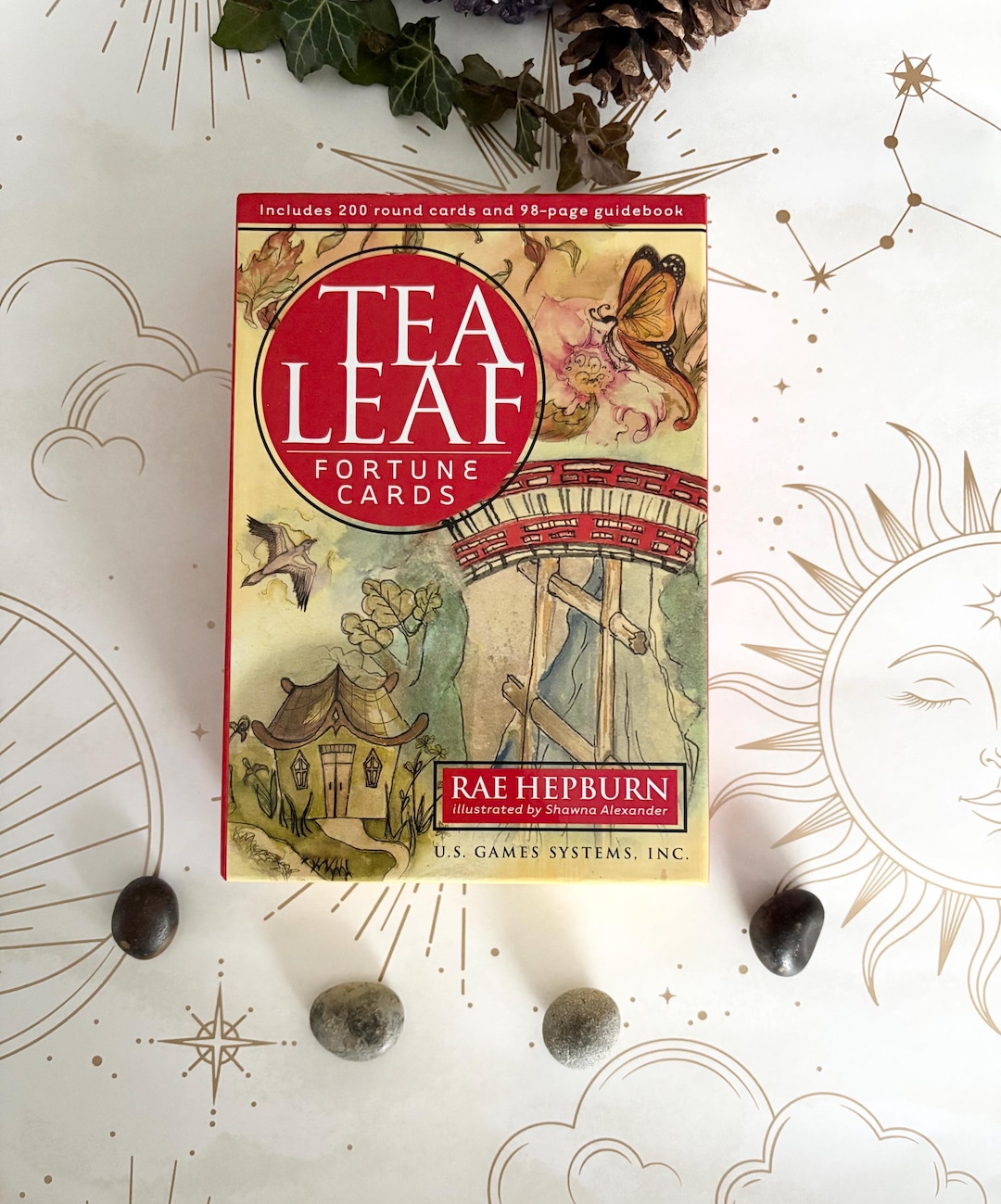 The Tea Leaf Fortune Cards by Rae Hepburn | Preloved (USED) Oracle ...