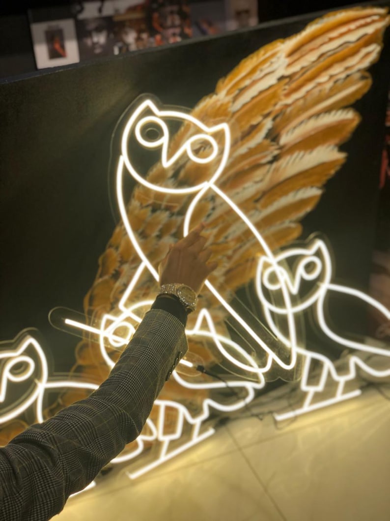 Owl Neon Sign - Modern LED Neon Light for Home, Bedroom, or Gaming ...