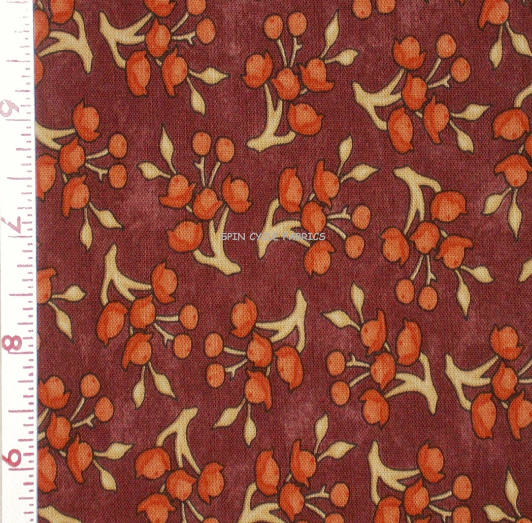 1 Yard BITTERSWEET PIPS Sandy Gervis MODA Pieces From My Heart Warm ...