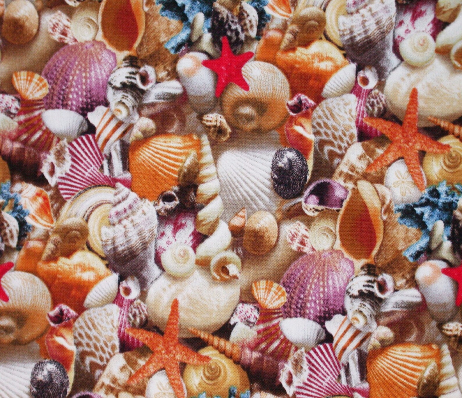 1 Yard Realistic BEACH SHELLS Star Fish Nautilus Murex Whelk Snail ...