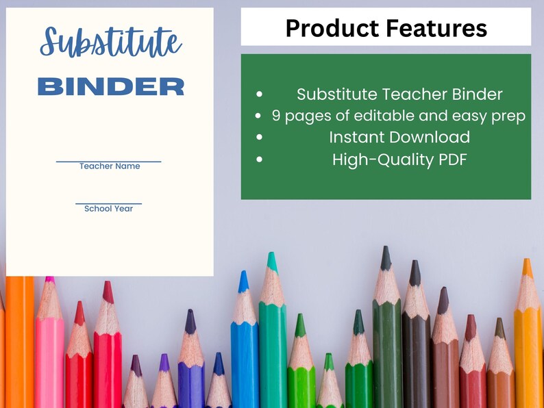 Editable Substitute Teacher Binder: Printable Sub Plans (PDF Download) - Etsy