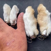 Rabbit Foot Key Chain - Etsy
