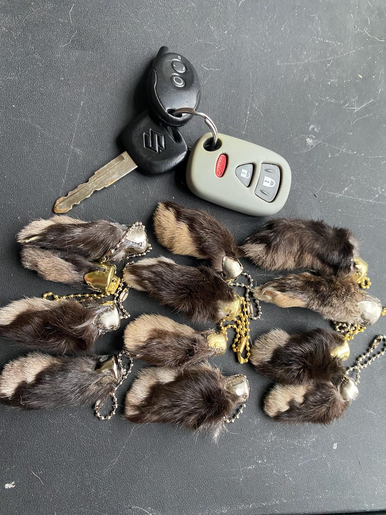 Rabbit Foot Front (SMALL) Paw Keychain - Etsy