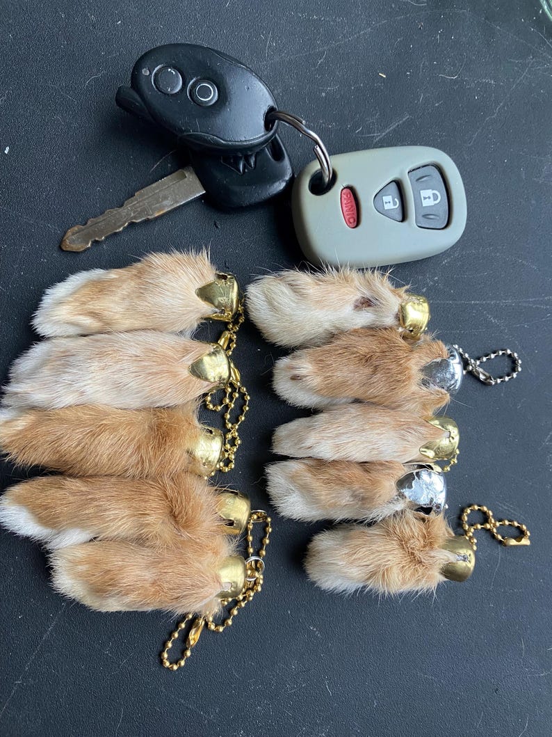 Rabbit Foot Front (SMALL) Paw Keychain - Etsy