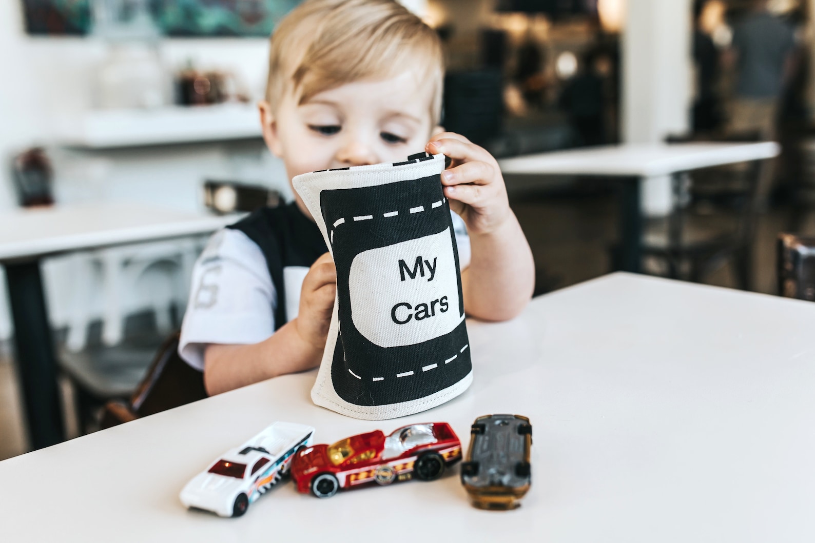 Travel Toy for Toddlers, Boy Travel Toy, Car Storage, Car Organizer ...