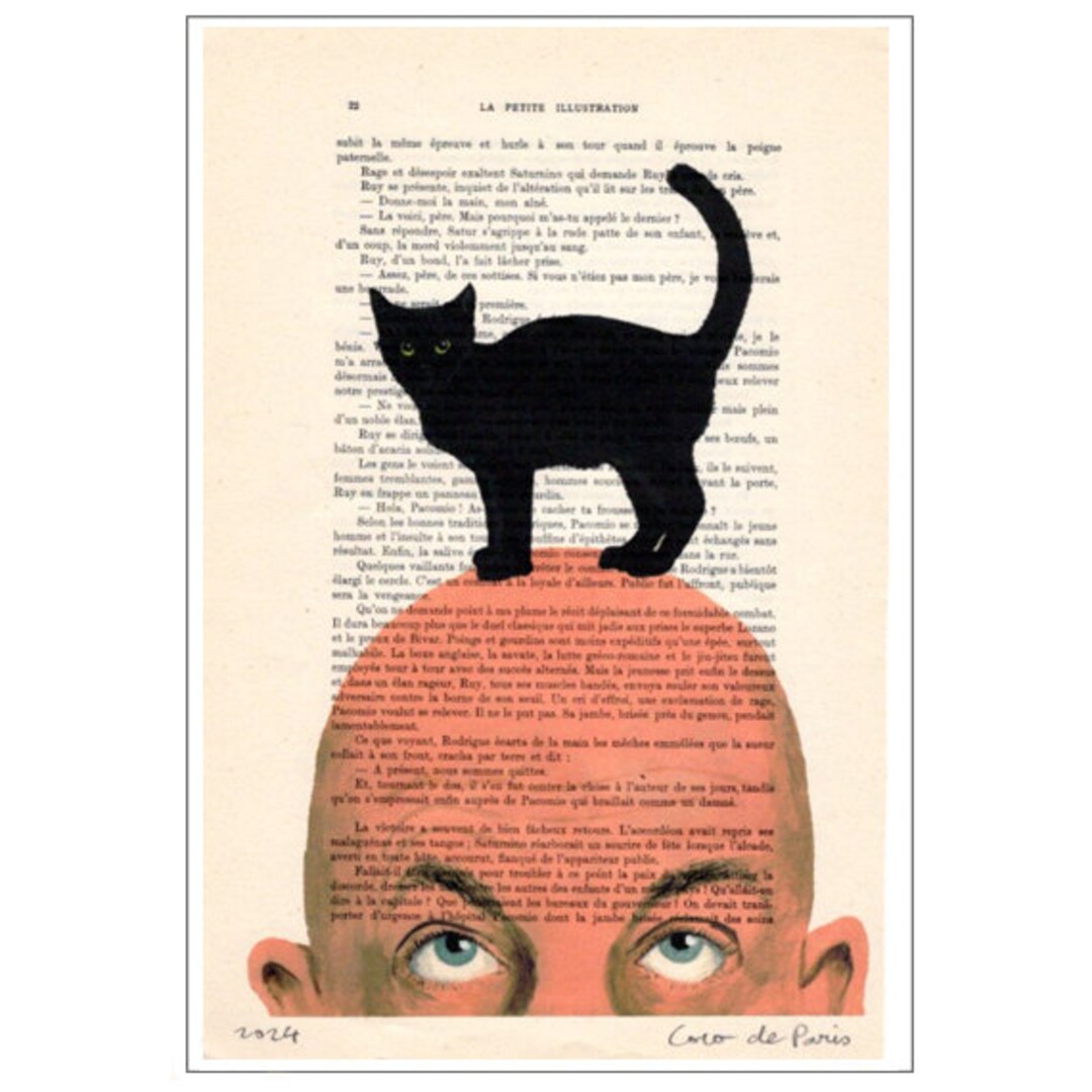 Black Cat on Bald Head, Cat Lovers, Preppy, Original Artwork From Coco ...