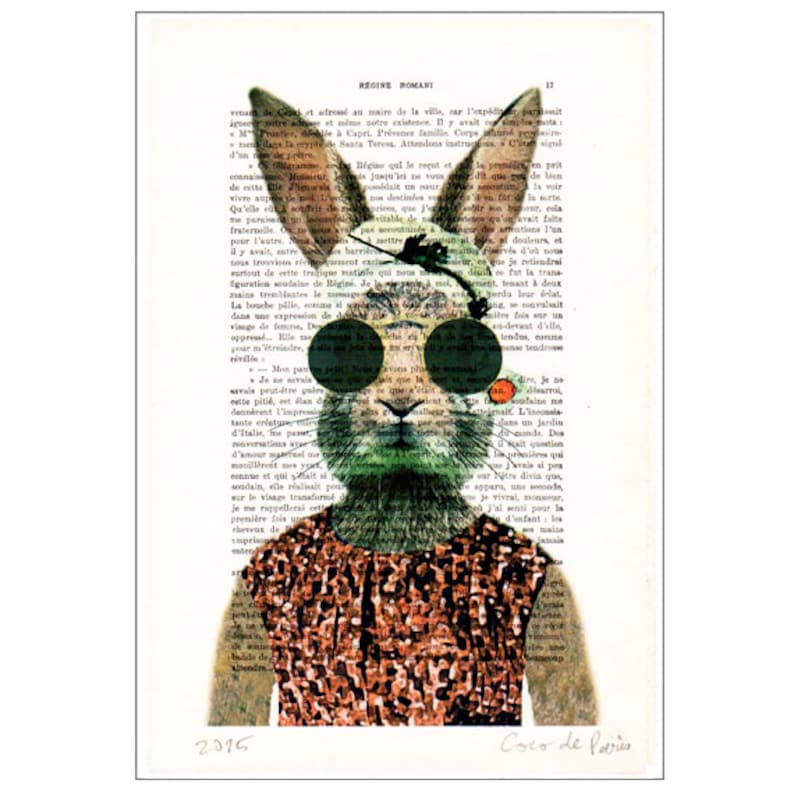 Rabbit Poster Vintage Rabbit Illustration Bunny Print Bunny - Etsy