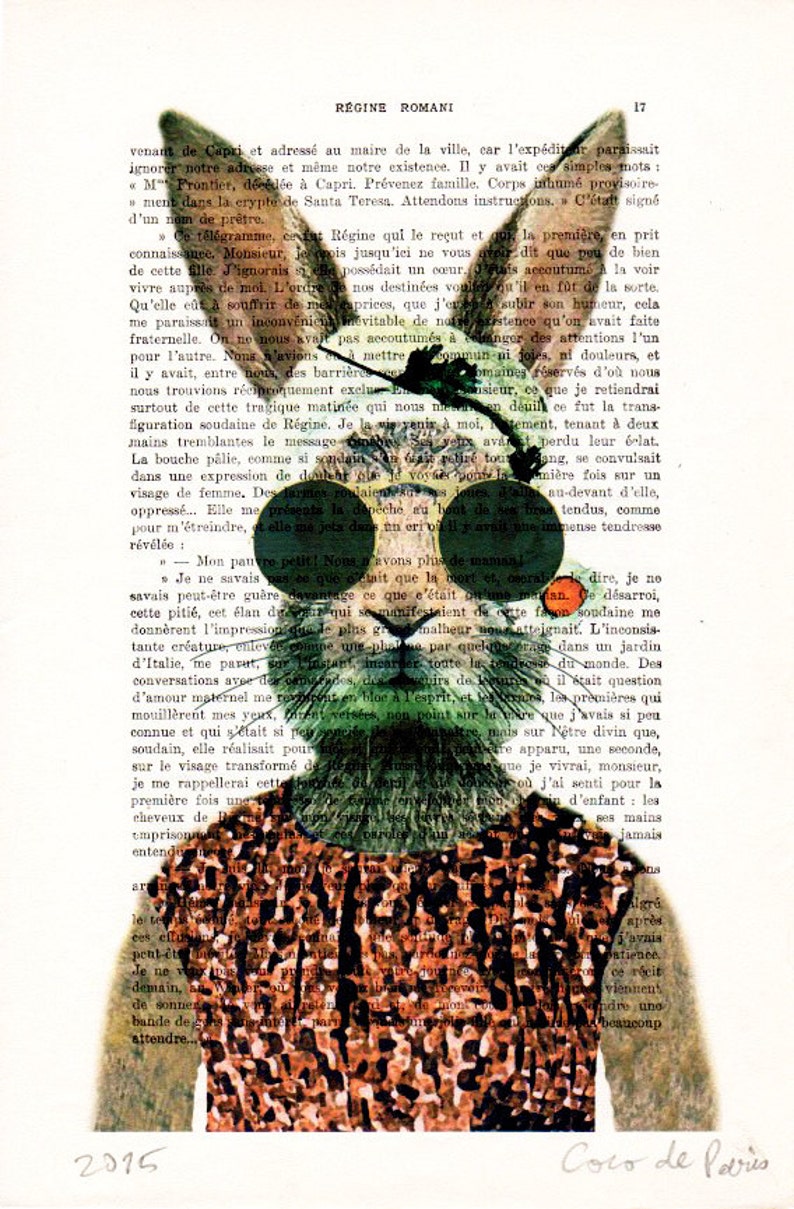 Rabbit Poster Vintage Rabbit Illustration Bunny Print Bunny - Etsy
