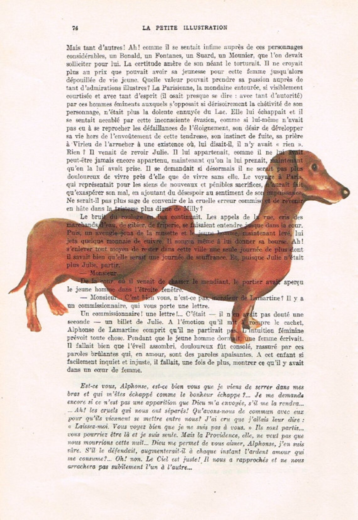 Daschund Knotted Daschund Painting Daschund Art Daschund - Etsy