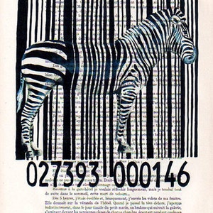 Zebra Print Black and White, Barcode Illustration, Giclee Prints ...