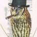 Steampunk Owl Smoking: Art Poster Digital Art Original Illustration Giclee Print Wall Art Wall ...