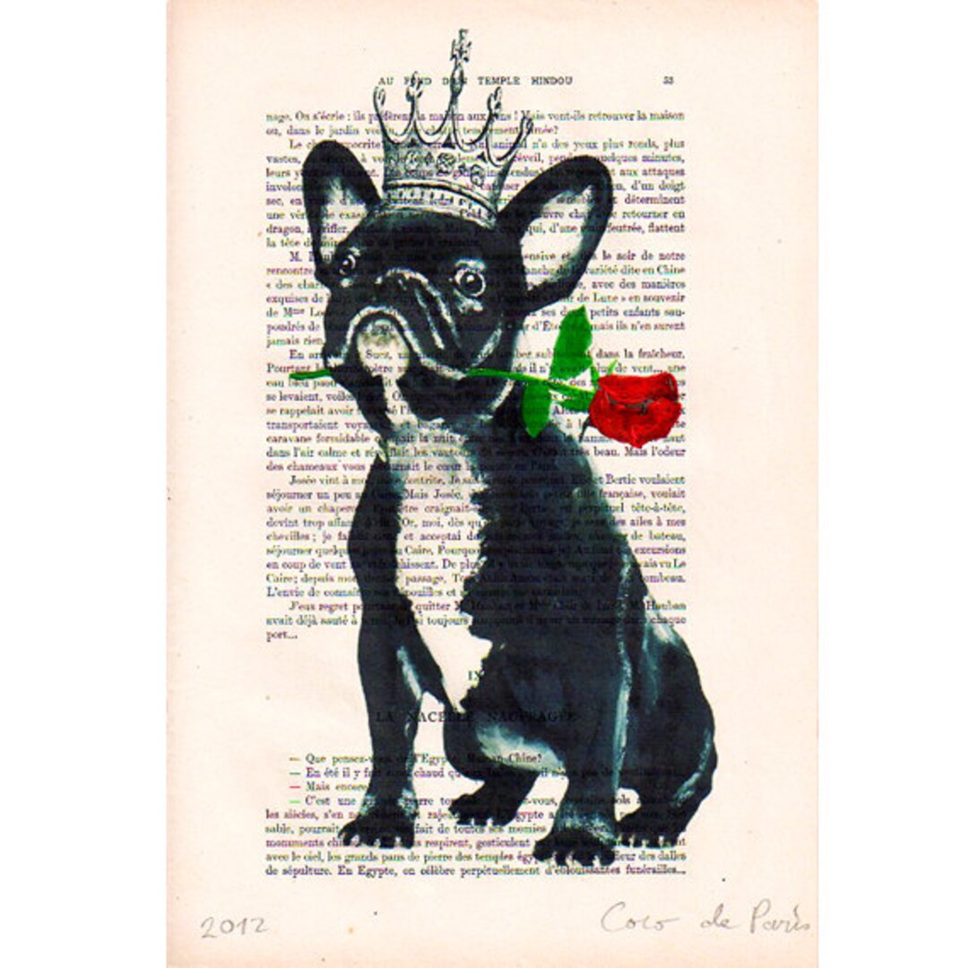 Frenchie Drawing Portrait Paintings Illustration Giclee Prints Posters ...
