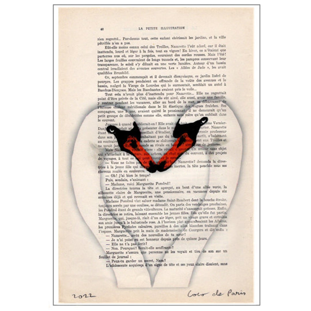 Swan Love, Swan Lovers, Original Artwork From Coco De Paris for Bear ...