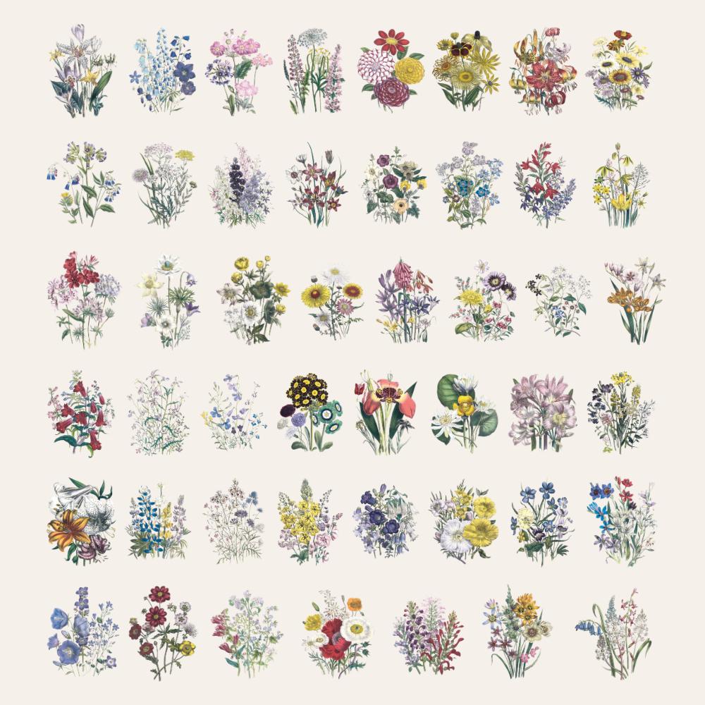 192 Botanical Wildflower Vintage Clip Art Illustrations - Printable ...