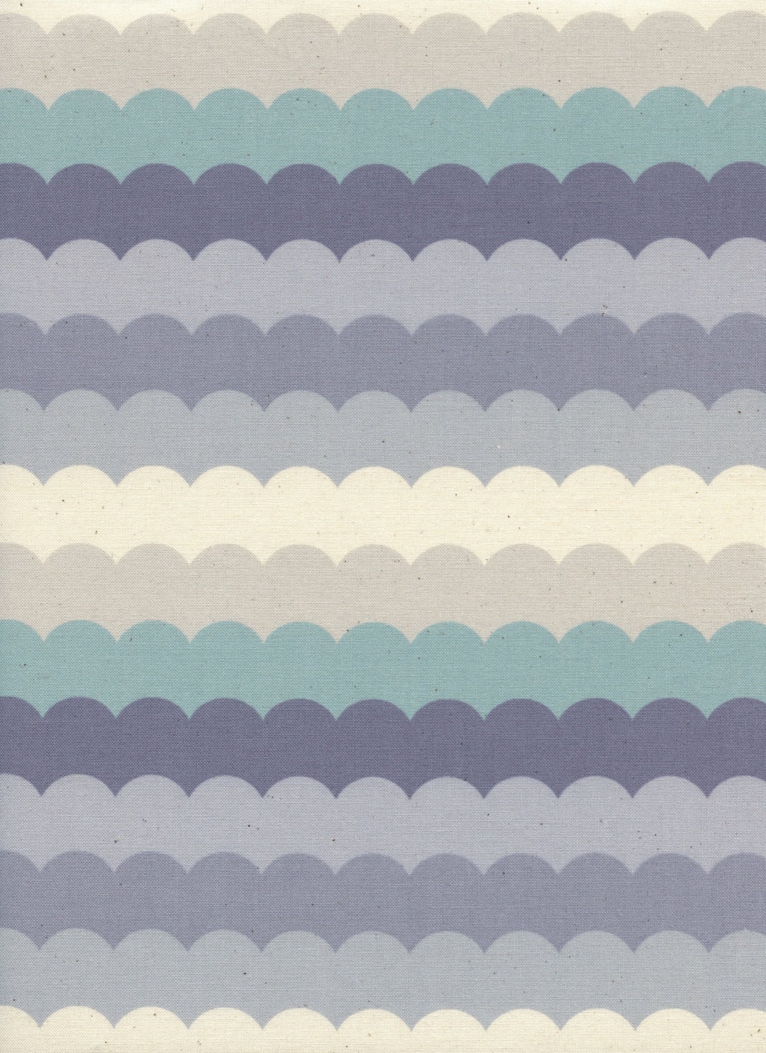 28-inch Remnant Panorama Cloud Scallops in Arctic, Melody Miller and ...