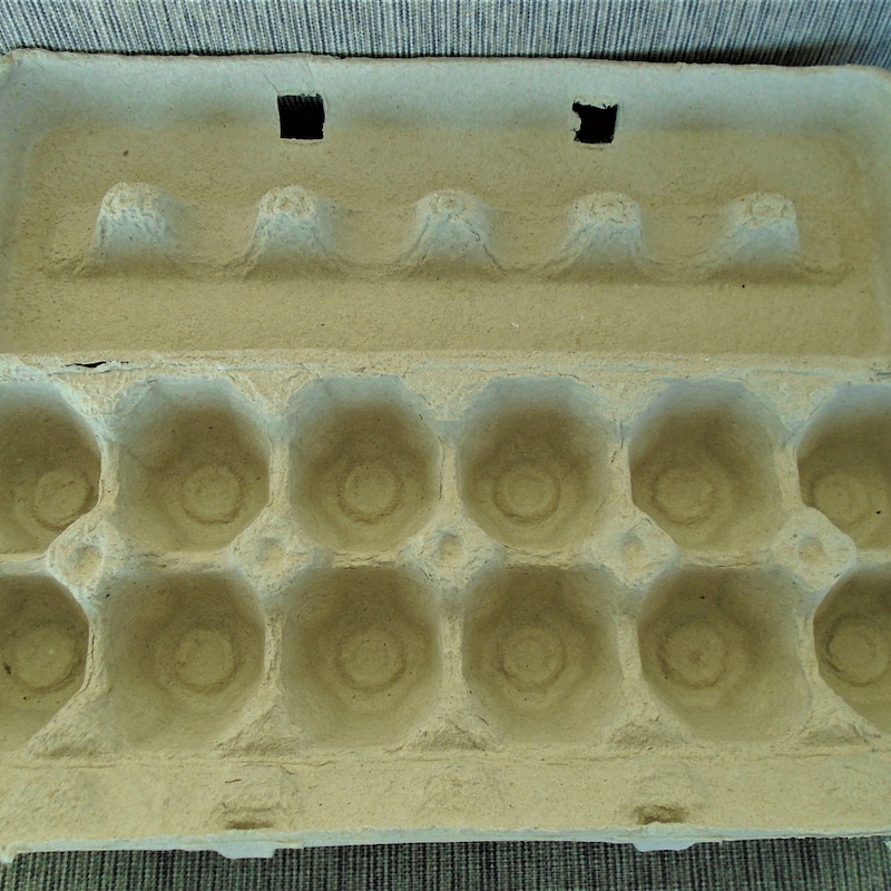 Egg Carton Molds - Etsy