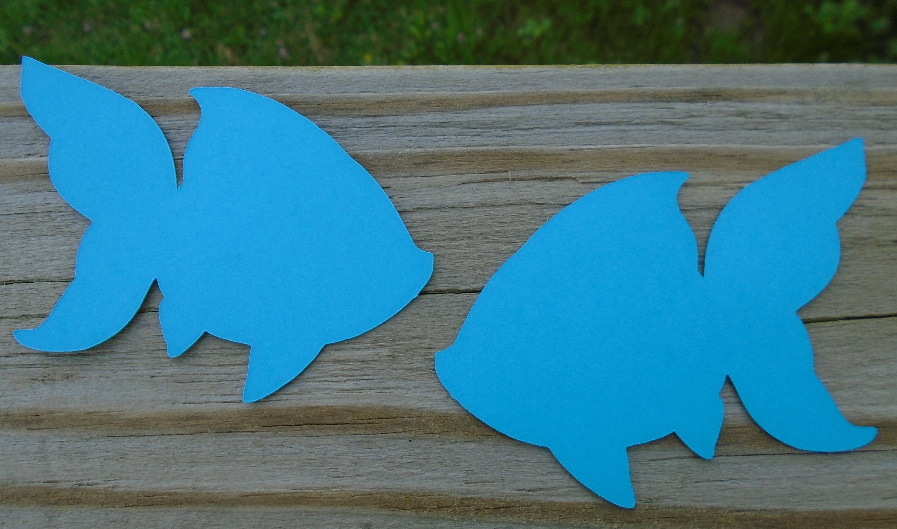 Card Stock Die Cut Fish Cut Outs, Aqua Color, 3 Inch x 3 Inch, 30 Count ...