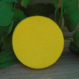 Yellow 3 Inch Round Hand Cut Felt Circles-30 Piece Pack-felt Pieces for ...