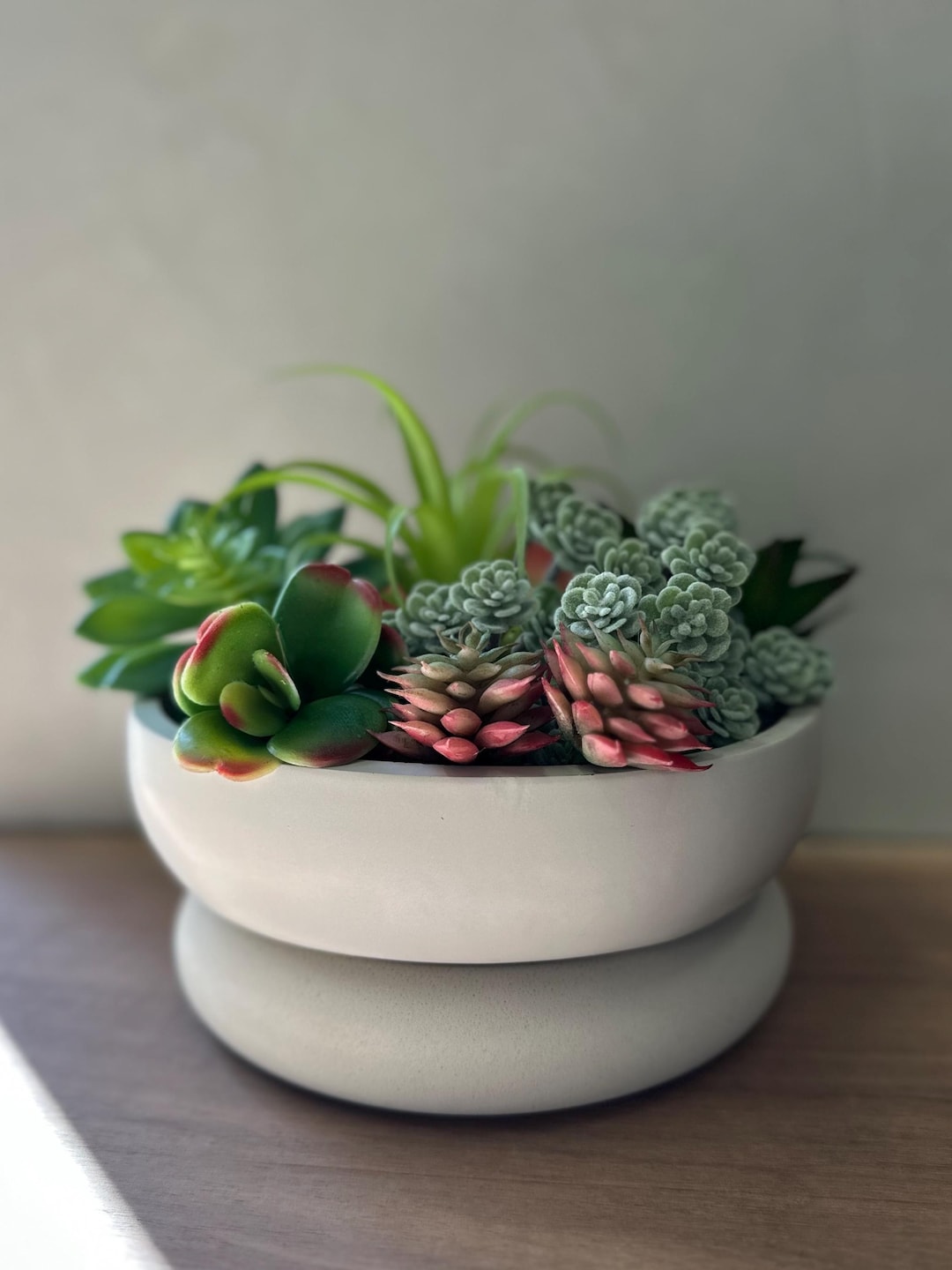 Shallow Irregular Shape Concrete Plant Pot With Optional Saucer ...