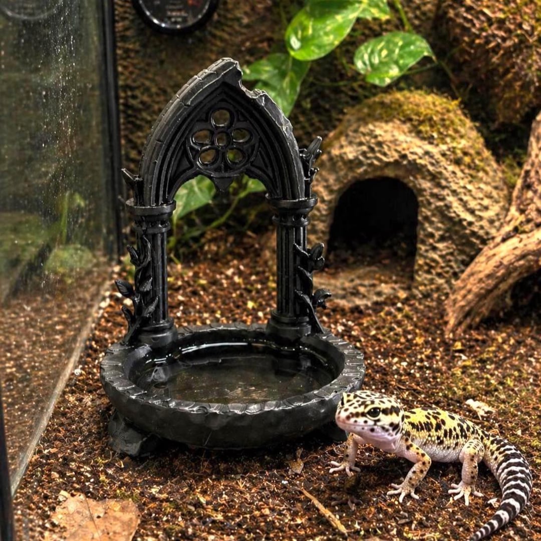 Gothic Arch Reptile Water Bowl | Cathedral Shrine Decor, Pet-safe PLA ...