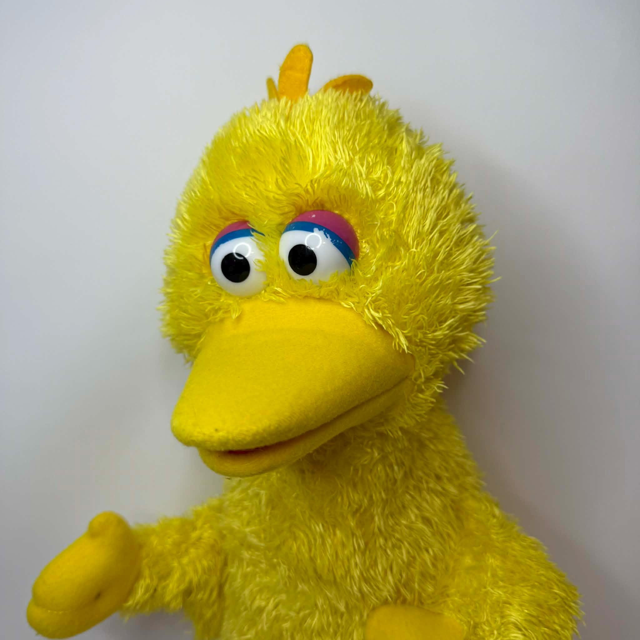 Sesame Street Big Bird Hand Puppet - Etsy