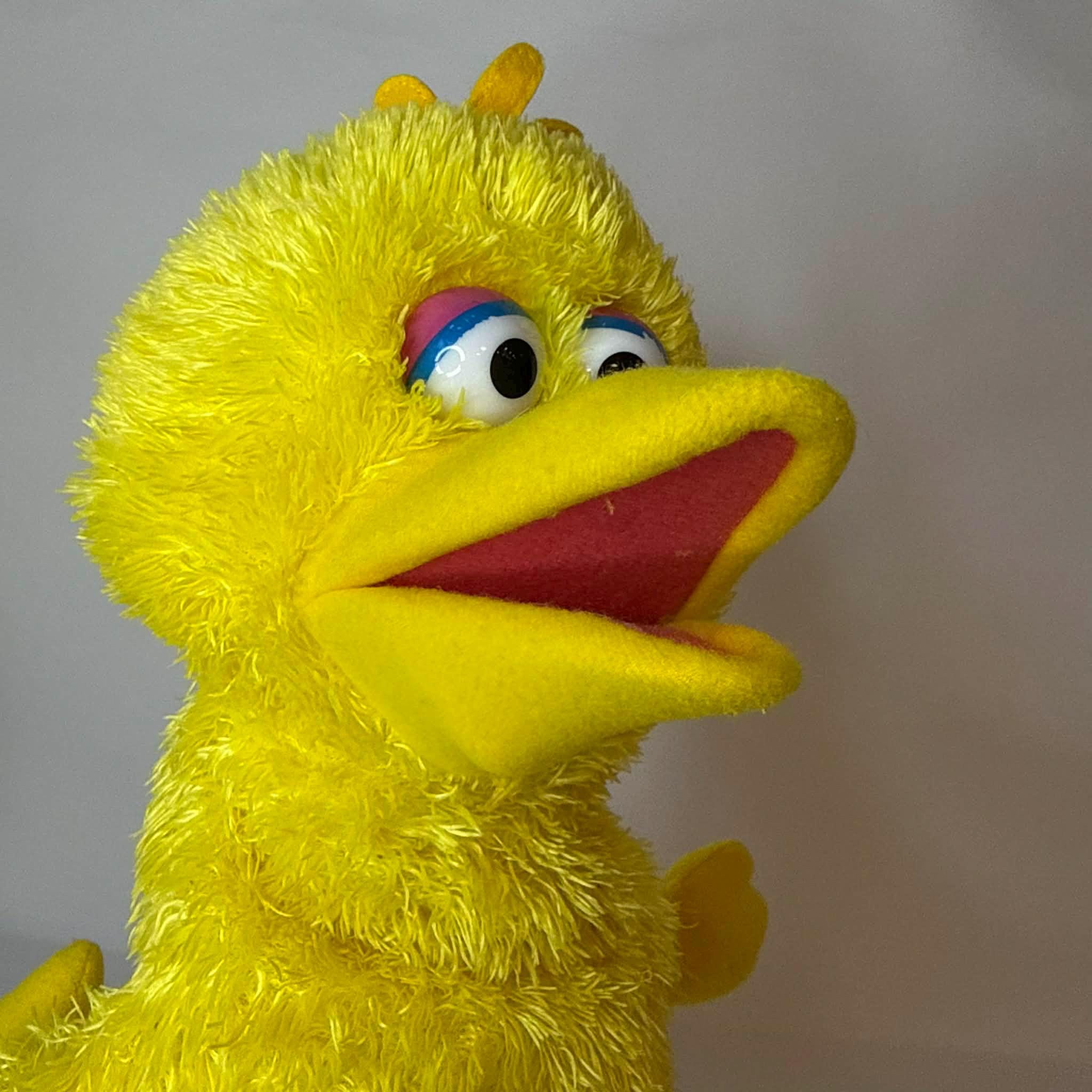 Sesame Street Big Bird Hand Puppet - Etsy
