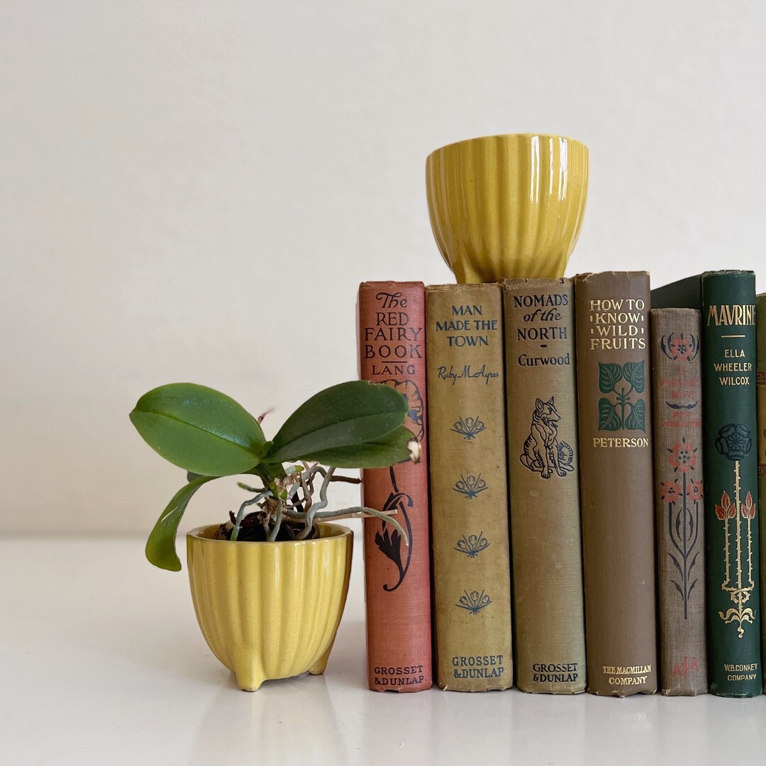 Pair of Vintage Butter Yellow Ceramic Planters - Etsy
