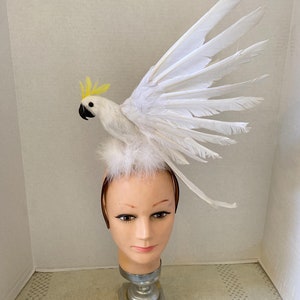 White Feathered Cockatiel or Parrot Headpiece - Etsy
