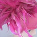Hot Pink Sinamay Hat With Spiky Pink Feathers With Gold Spray - Etsy