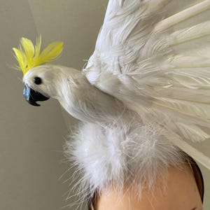 White Feathered Cockatiel or Parrot Headpiece - Etsy