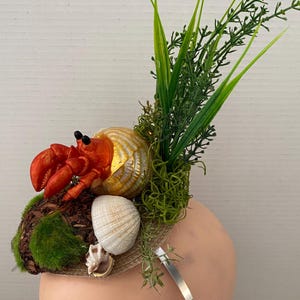Hermit Crab With Ocean Shells - Etsy