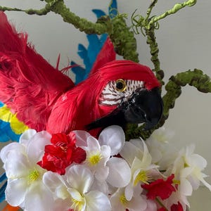 Jumbo Colorful Parrot Headpiece - Etsy