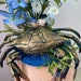 Blue Crab Fascinator With Blue Flowers N Ocean Shells - Etsy