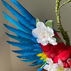Jumbo Colorful Parrot Headpiece - Etsy