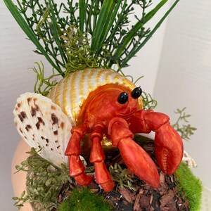 Hermit Crab With Ocean Shells - Etsy