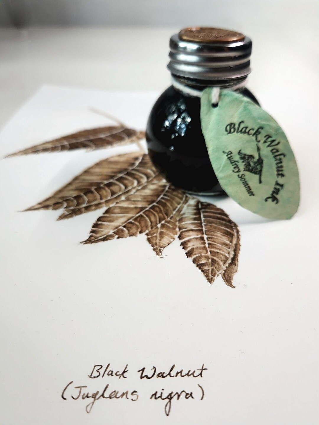 Black Walnut Ink: Sepia Colored, 3 Oz (88.72 Ml) Bottle - for Writing ...