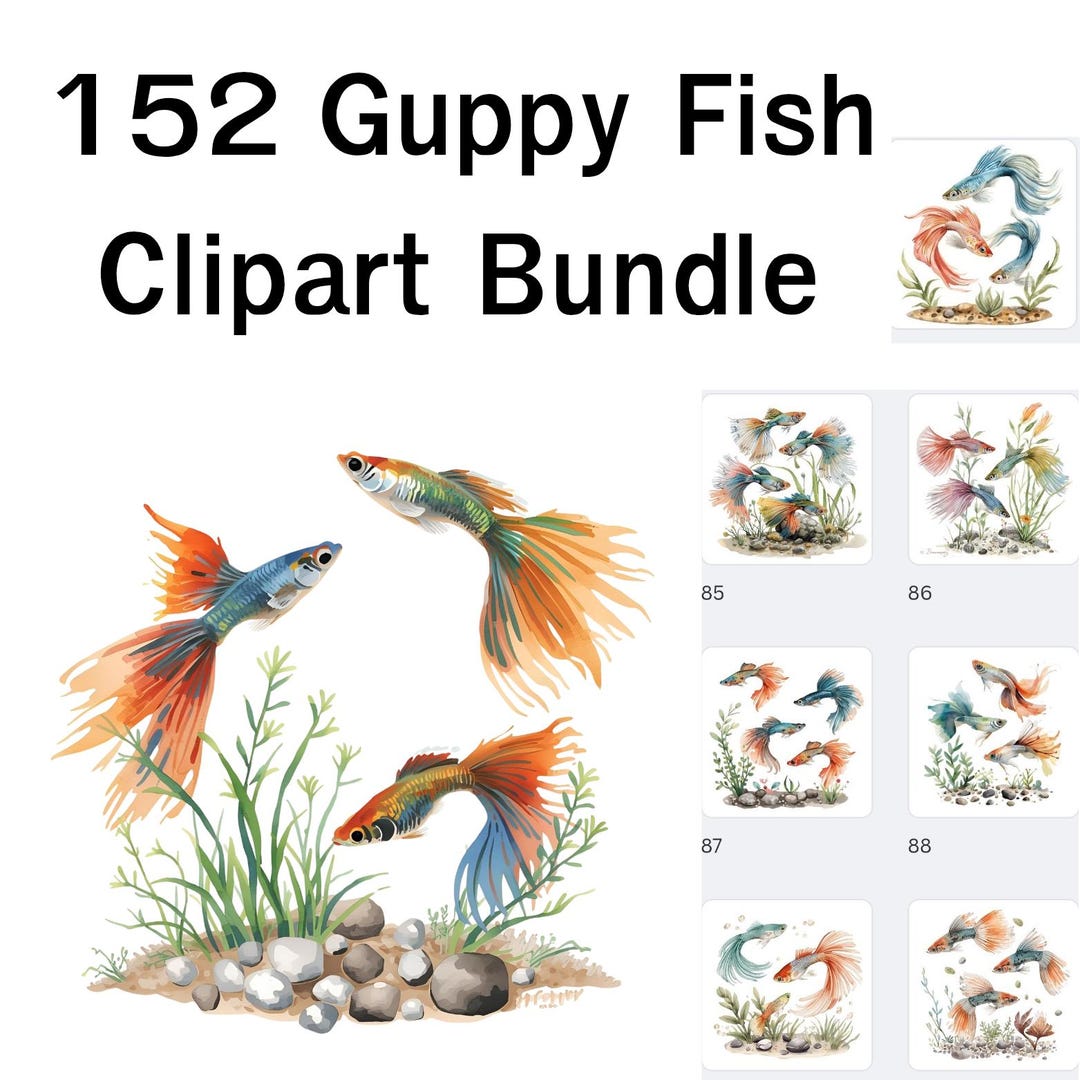 152 Guppy Fish Clipart Bundle | Transparent Background | Digital ...
