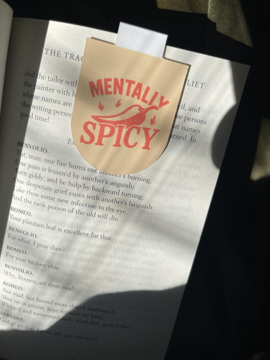 Mentally Spicy Magnetic Bookmark | Spicy Reader Bookmark | Romance ...