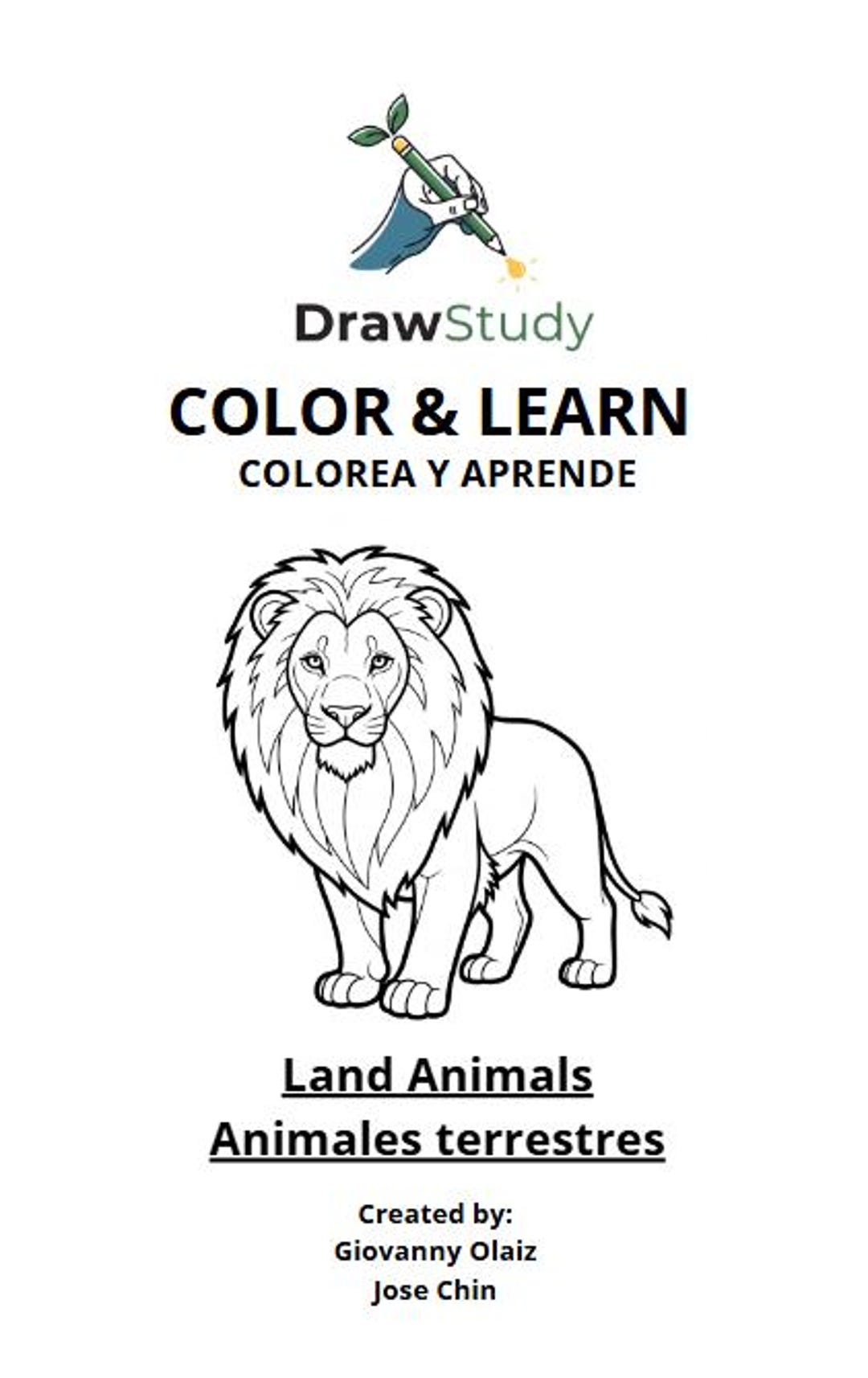 Bilingual Drawing Book - Etsy