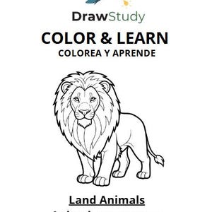 Bilingual Drawing Book - Etsy