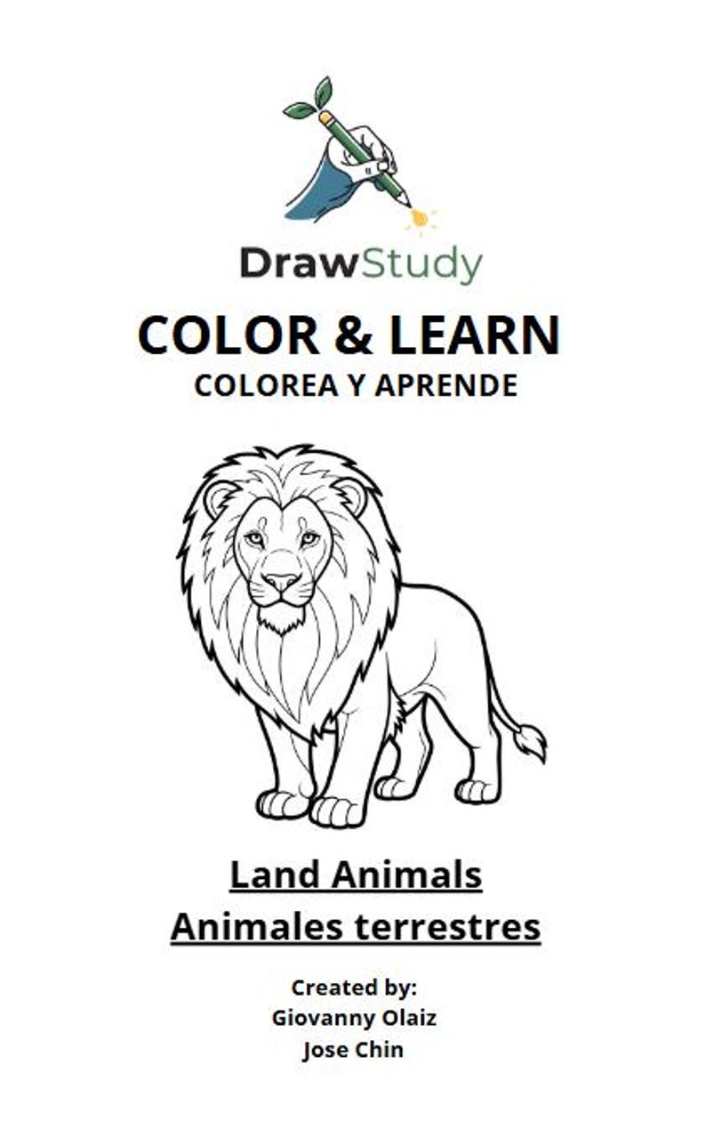 Bilingual Drawing Book - Etsy