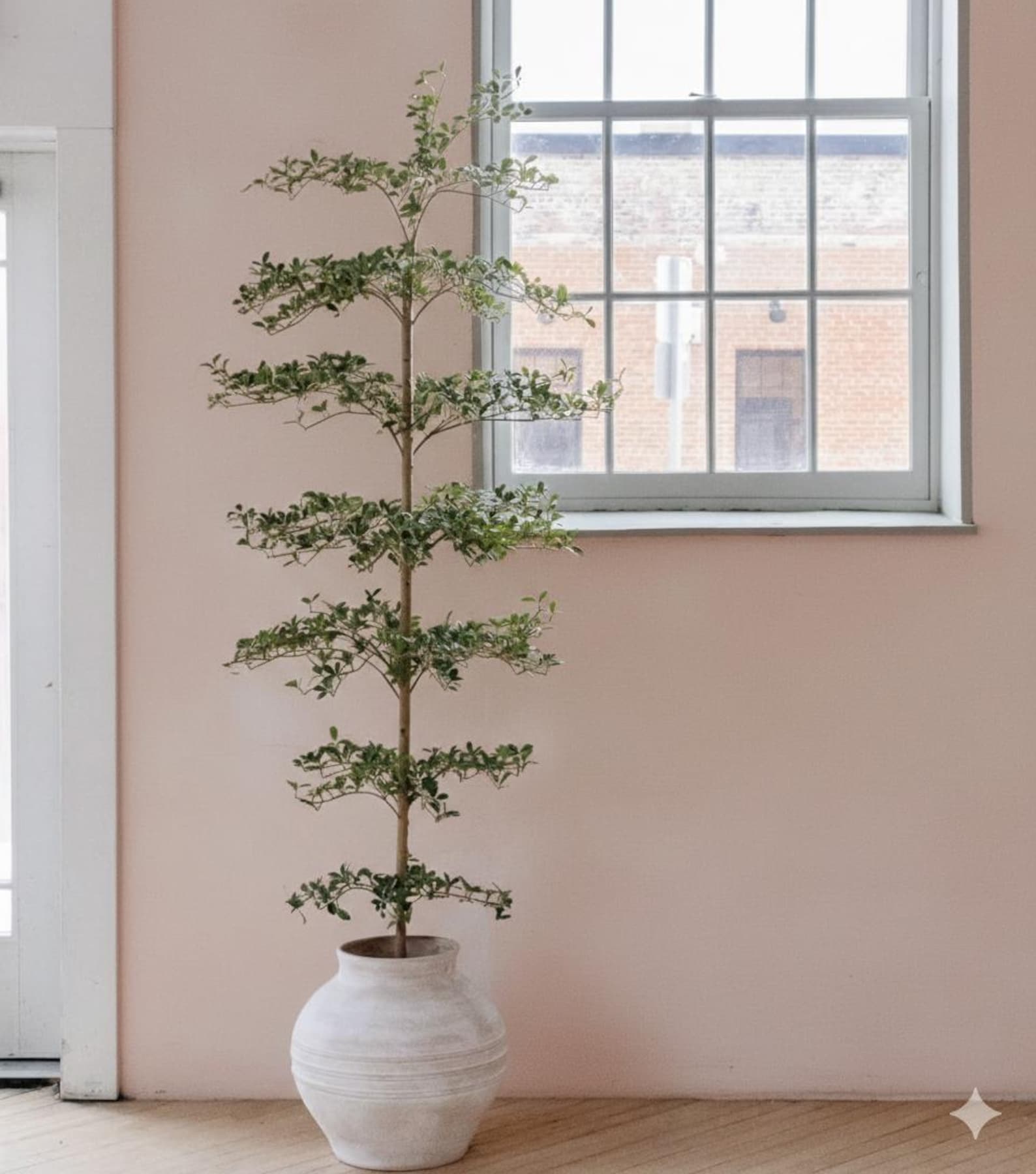 Handcrafted Faux Black Olive Tree 7ft – Shady Lady Indoor Decor Kit - Etsy