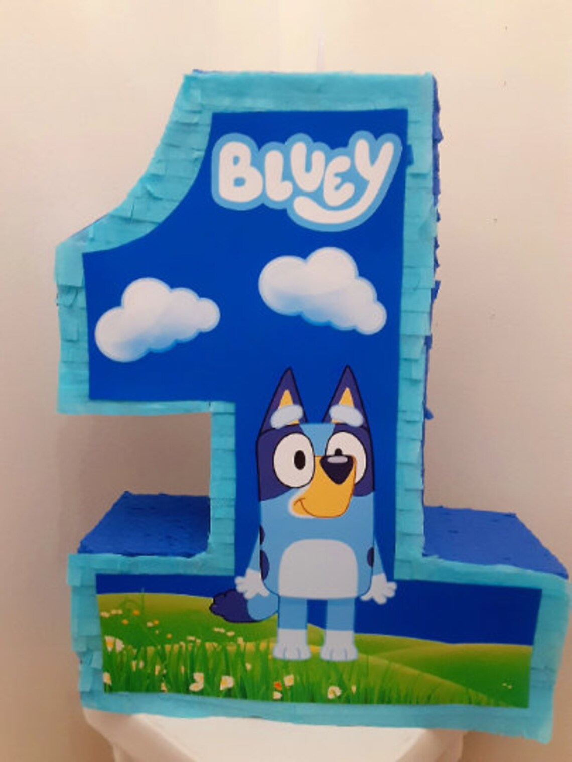 Number 1 One First Year Bluey Streamers or Poster Style Pull - Etsy Canada