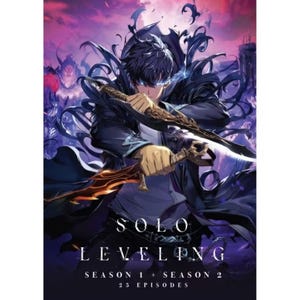 Solo Leveling 1 Season - Etsy