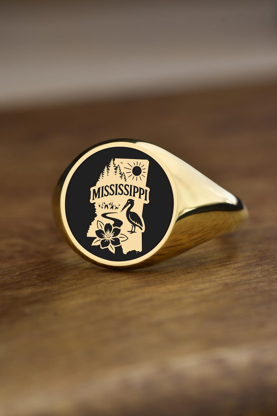 14K Gold Mississippi Signet Ring, American Enamel Ring, Magnolia State ...